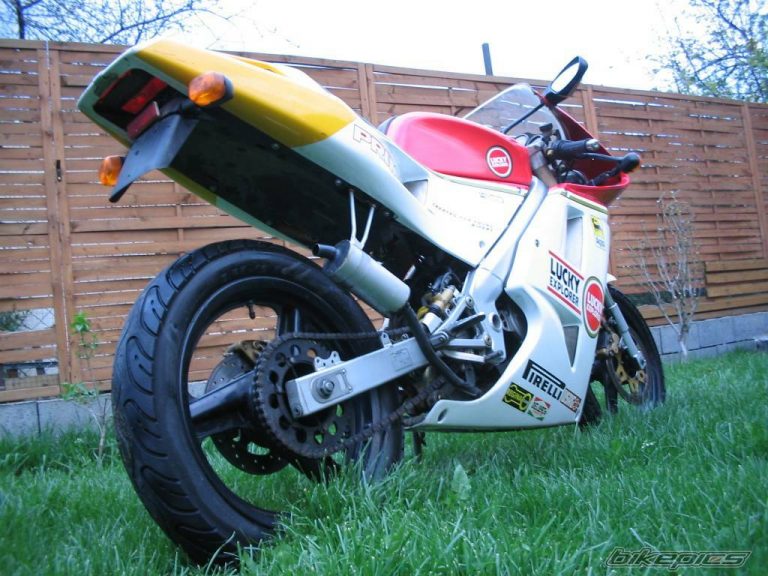 Moto del día: Cagiva Prima 75 - espíritu RACER moto